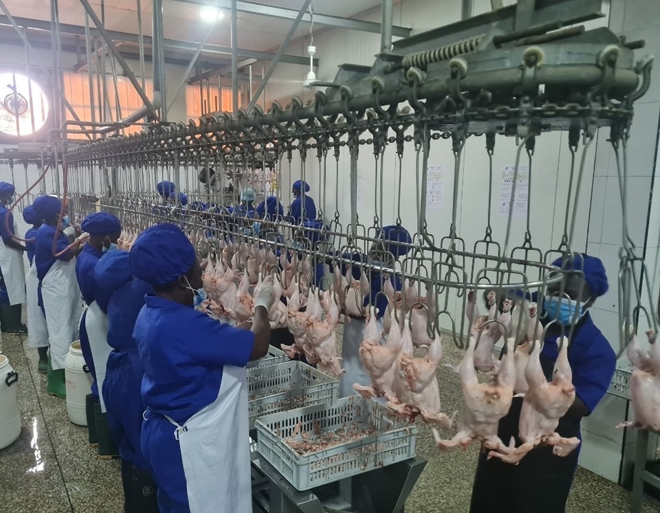 WEST AFRICA FOOD SYSTEM RESILIENCE PROGRAMME (FSRP) - All Blogs